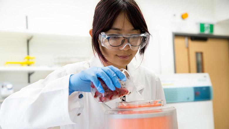 Study Food Science at a Top University in Malaysia Expert Advise ...