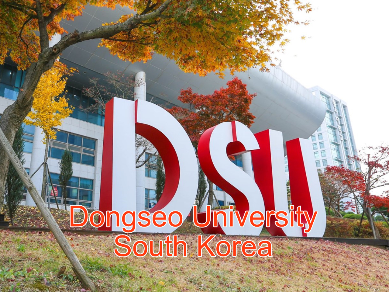 Study at Dongseo University, South Korea 동서대학교 for Malaysian Students ...